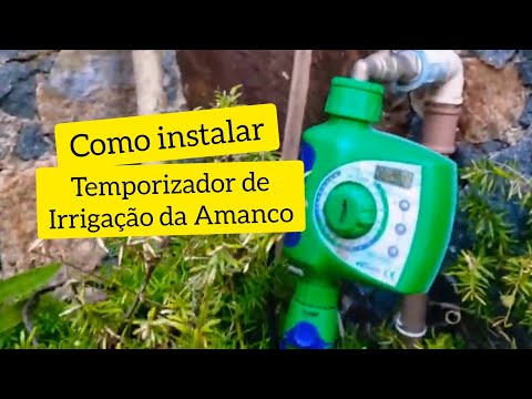 Como fazer rega automática: 5 alternativas para não deixar suas plantas ...