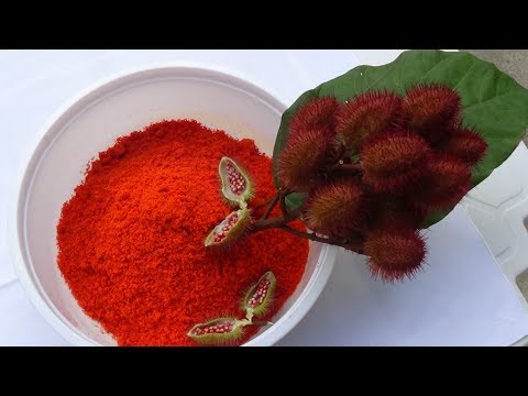 Você sabe como é feito o colorau?