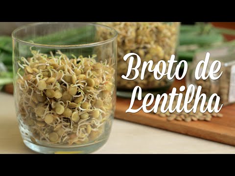 Dieta crudívora: prós e contras da alimentação crua