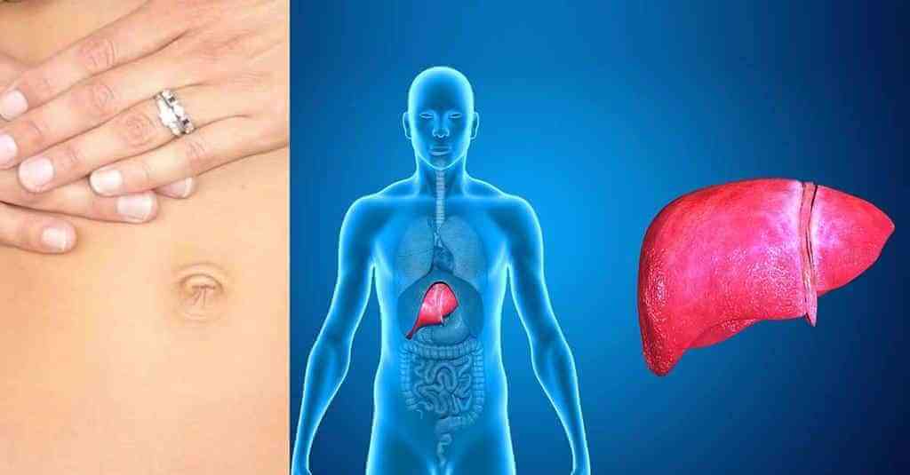 Dicas de que o seu fígado precisa de ajuda e o que fazer para cuidar
