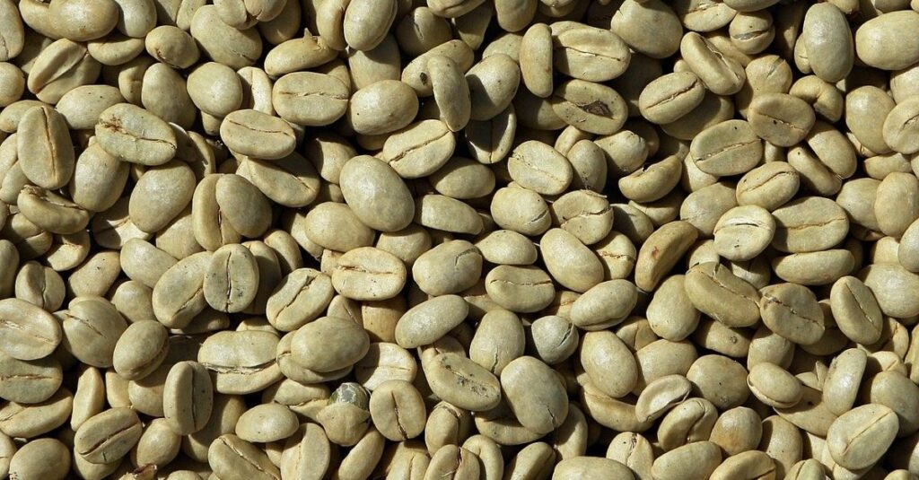 Café verde: conheça os benefícios dessa bebida diferente