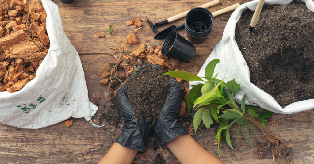 Como fazer substratos caseiros para diferentes tipos de planta