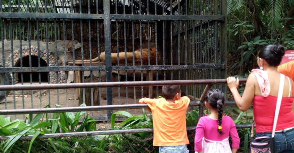 Costa Rica fechará todos os zoológicos e libertará os animais
