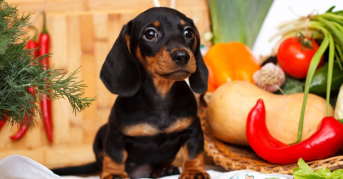 19 Imagens fofas + 19 frases inspiradoras para melhorar sua semana