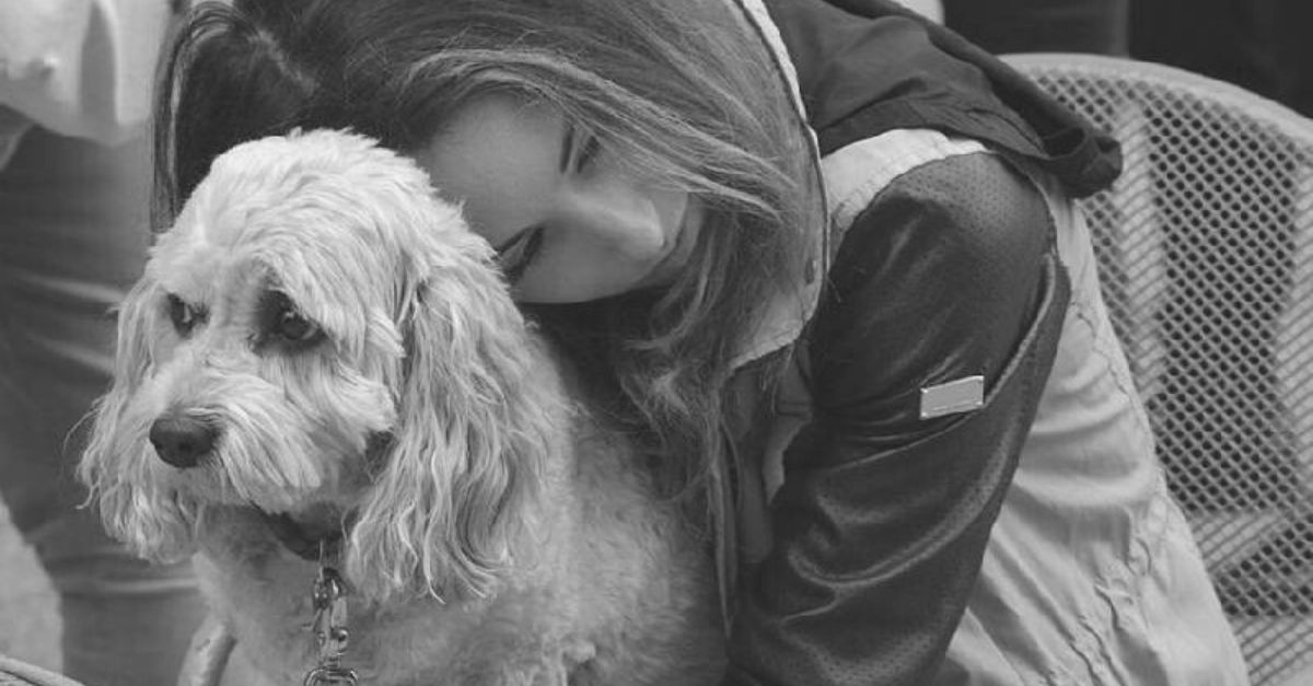 Luto com animais: eles percebem a tristeza humana