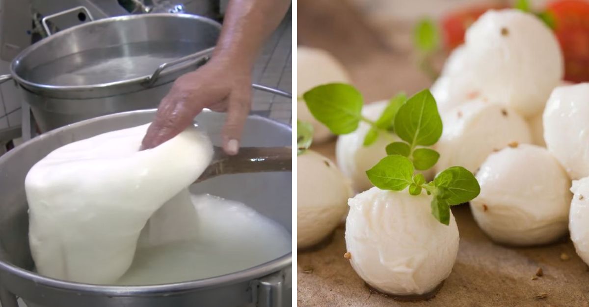 Muçarela fresca: tipos, características e fabricação