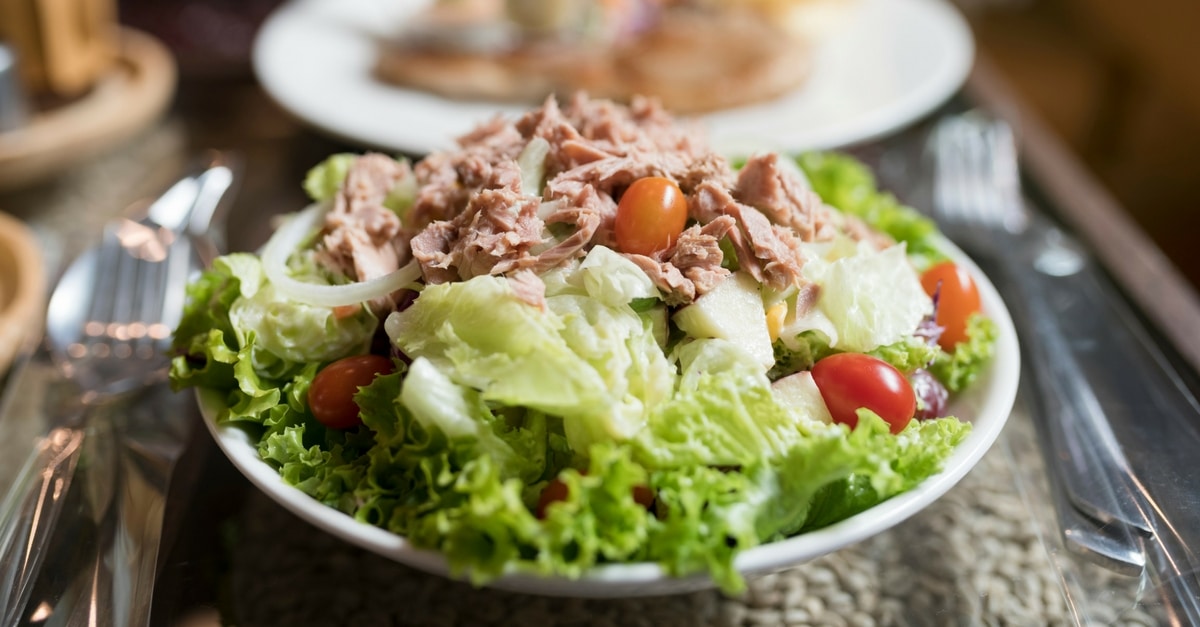 7 Receitas de salada de atum deliciosas, fáceis e baratas