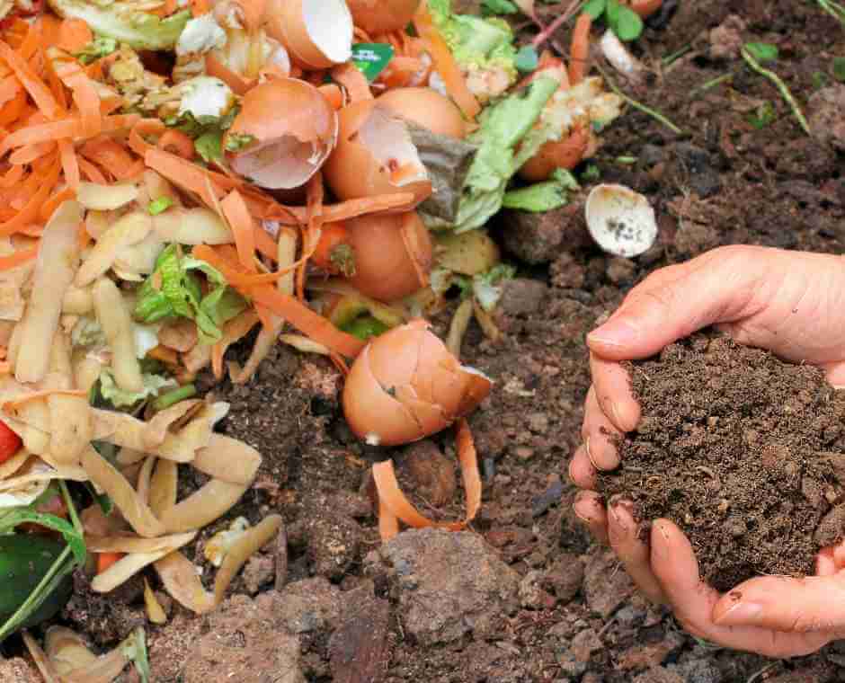 Como fazer adubo caseiro: aprenda 5 formas diferentes