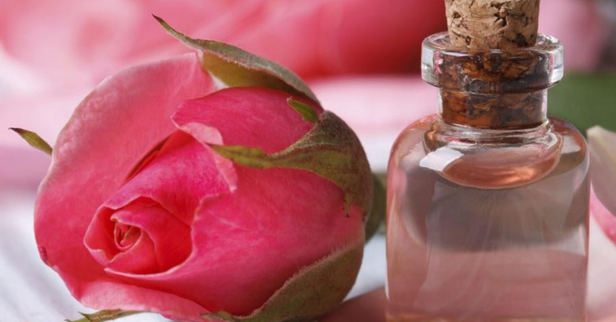 Conheça os benefícios e como fazer água de rosas