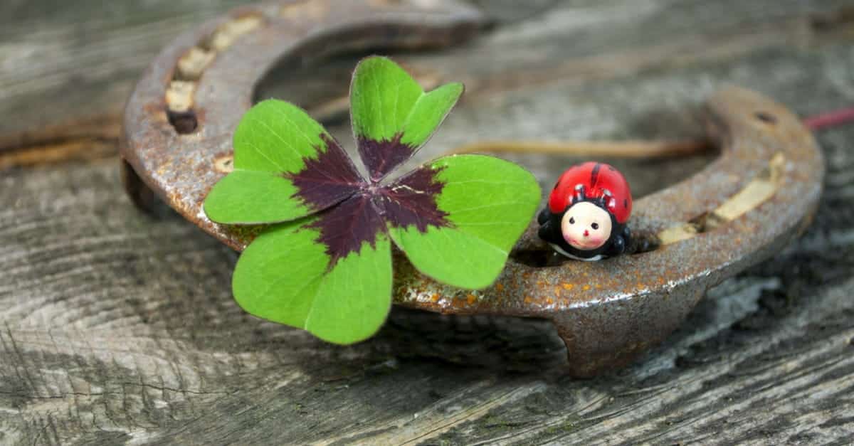 Amuletos que trazem sorte e proteção para cada signo