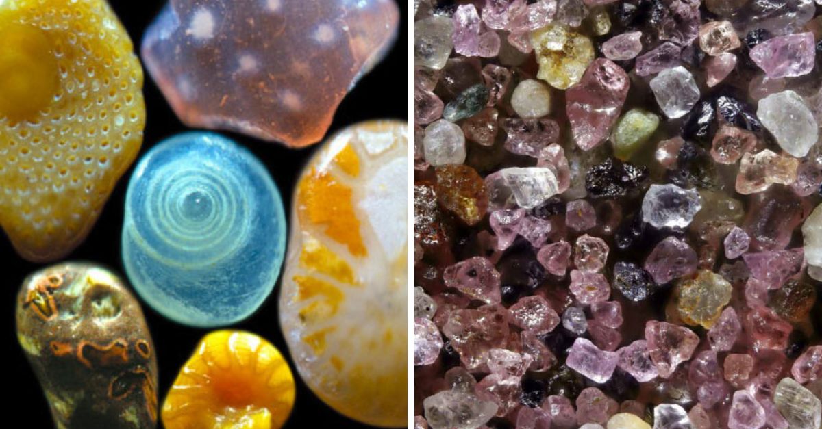 Colocaram areia da praia no microscópio: é lindo, veja!