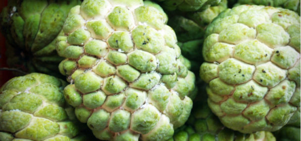 7 Benefícios da pinha