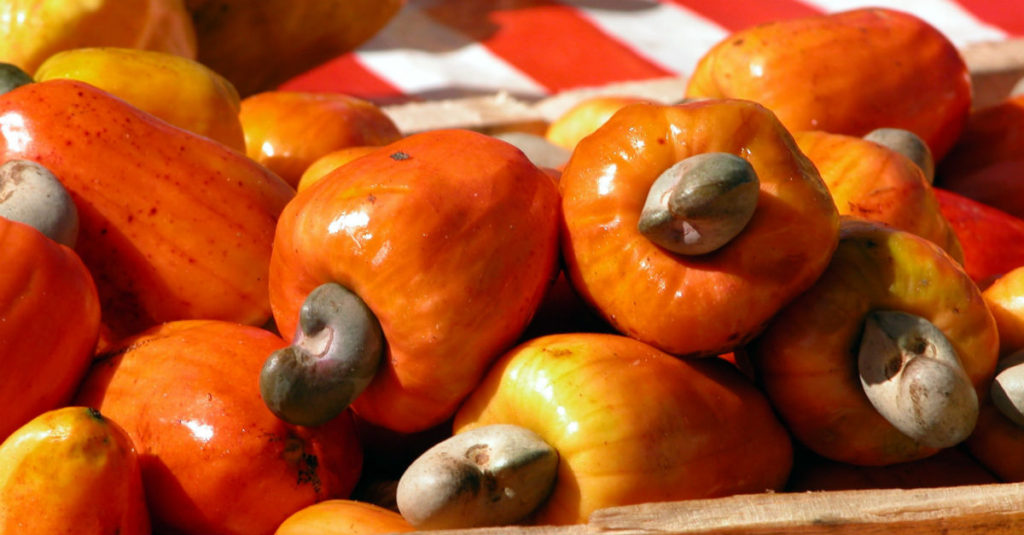 Benefícios do caju para a saúde