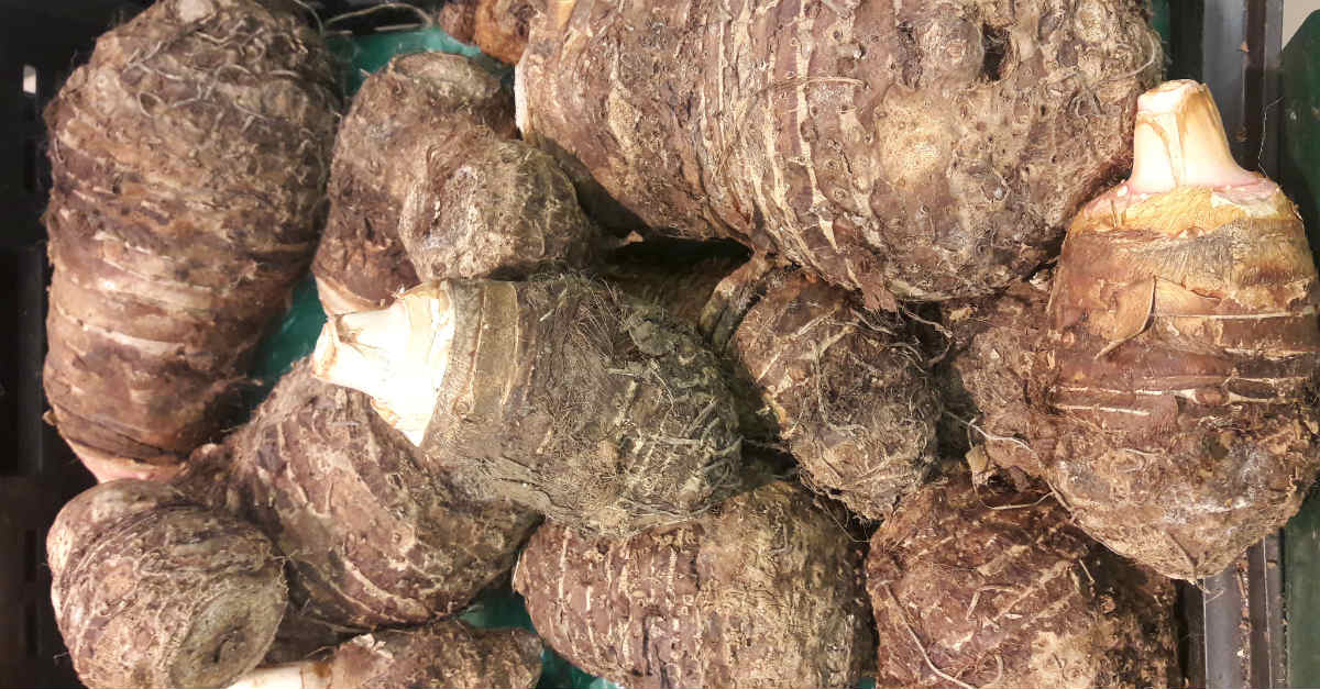 6 Benefícios do inhame