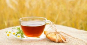 Chá de carqueja: aprenda a fazer e conheça os benefícios desta planta