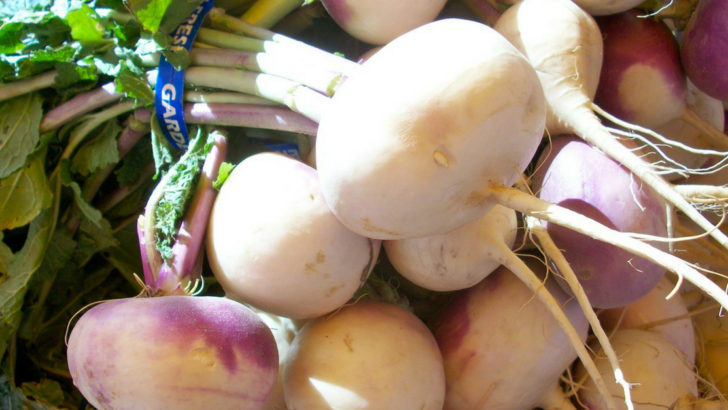 Como fazer nabo em 16 receitas apetitosas