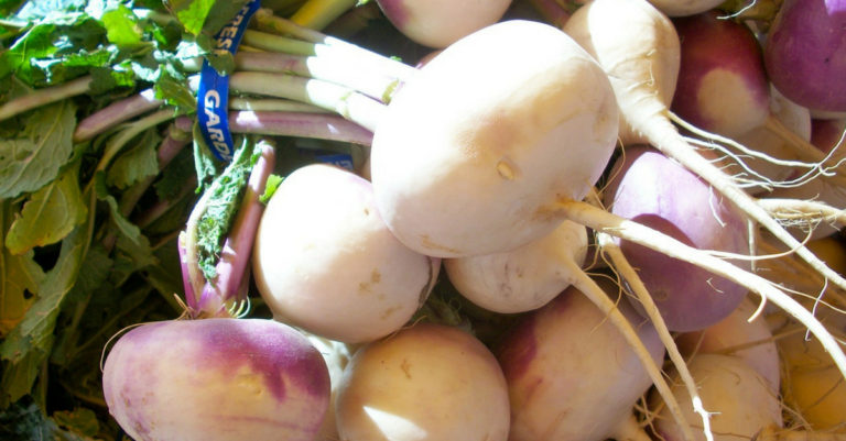 Como fazer nabo em 16 receitas apetitosas