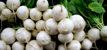 Conheça os benefícios do nabo para a saúde