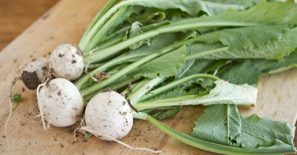 Conheça os benefícios do nabo para a saúde