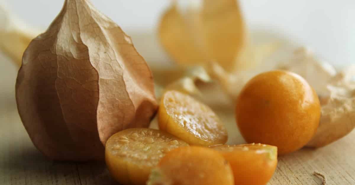 Benefícios da Golden Berry