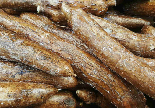 Aprenda a fazer uma deliciosa tapioca