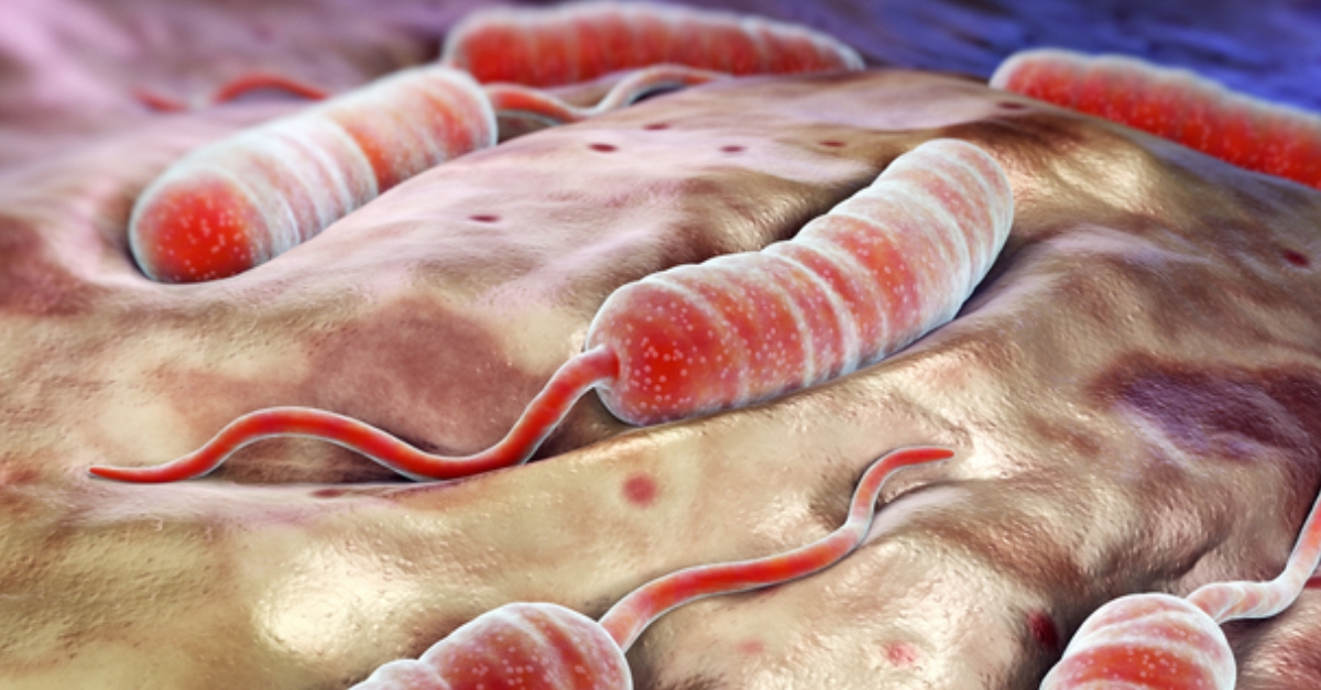 Cólera: o que é, sintomas e transmissão