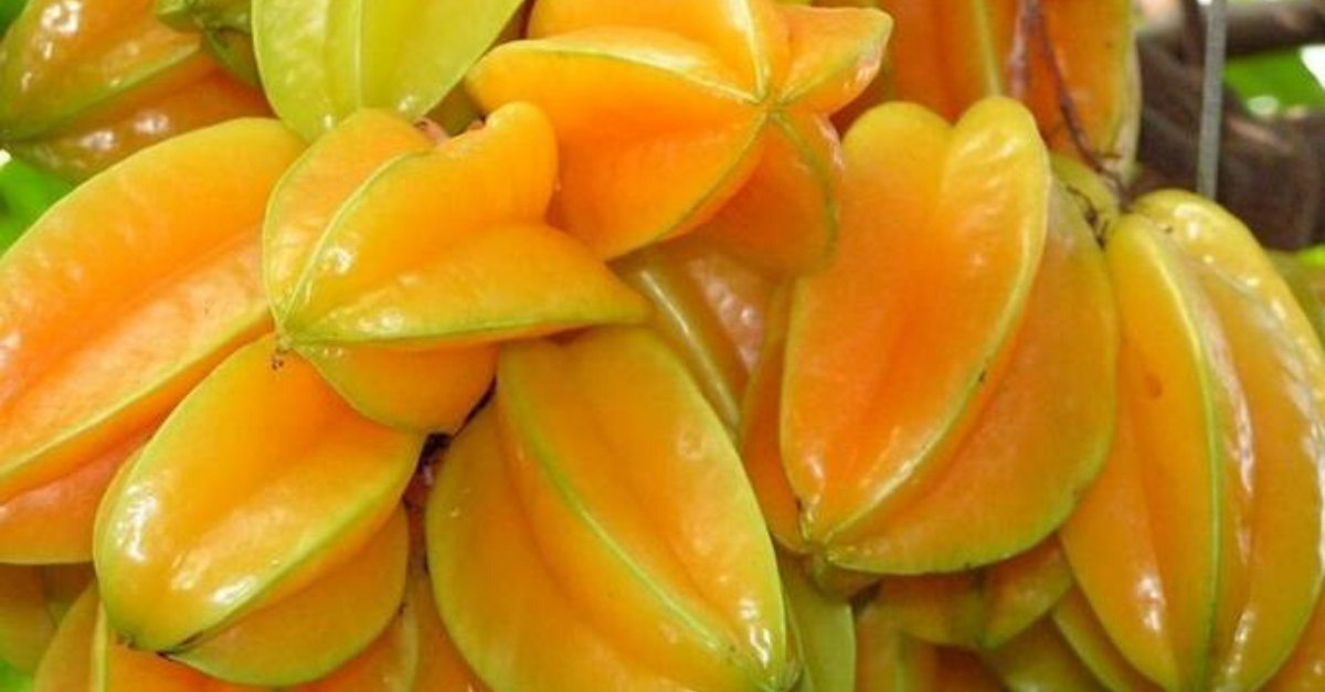 5 Benefícios da carambola