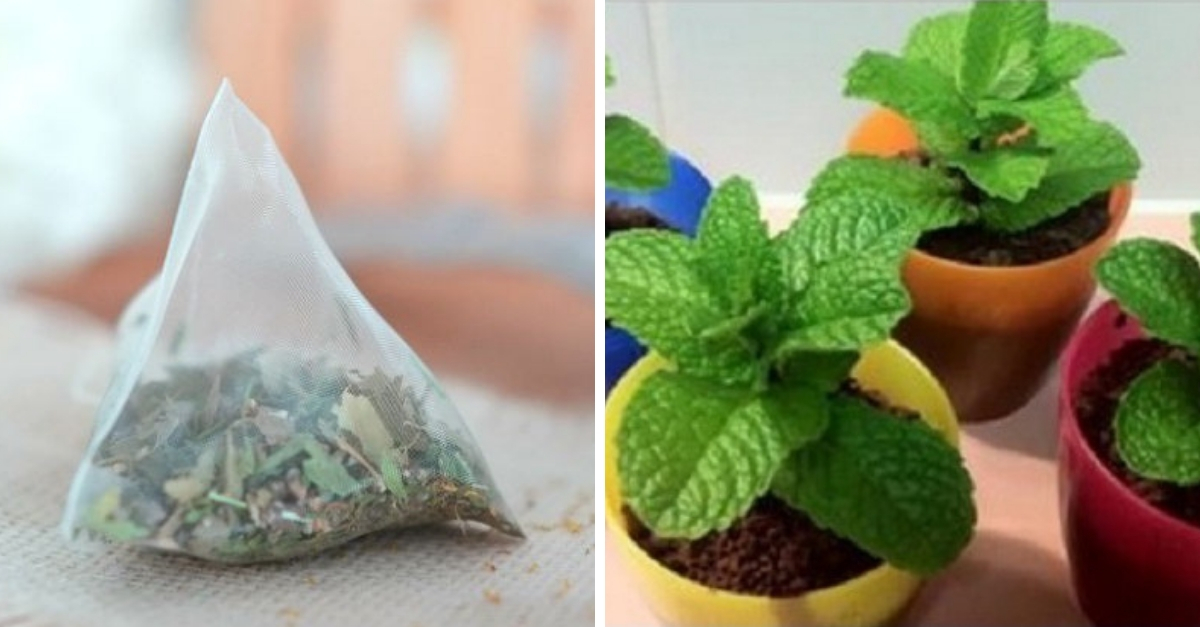 8 Dicas para deixar a casa perfumada todos os dias