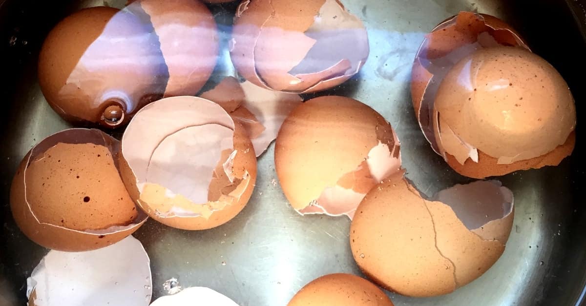 Use a casca de ovo como fonte de cálcio