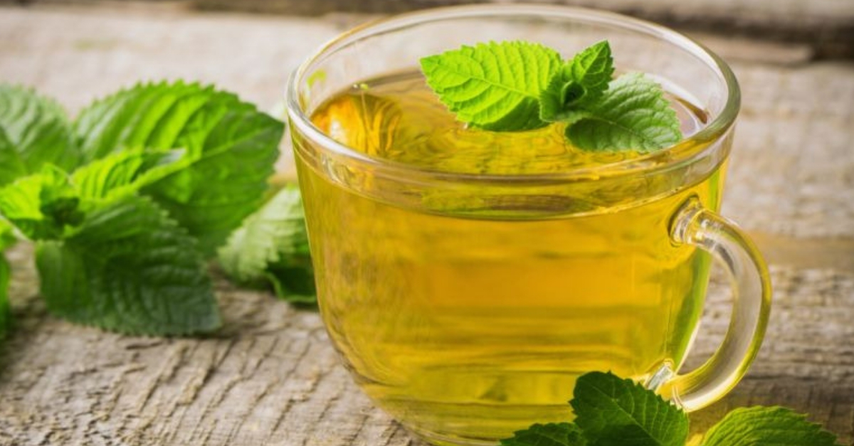 Benefícios e como fazer chá de erva cidreira