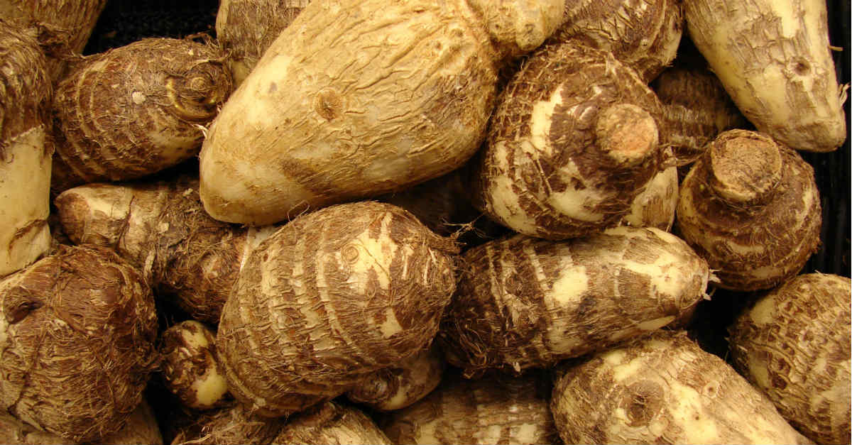 Chá de inhame: benefícios e como fazer