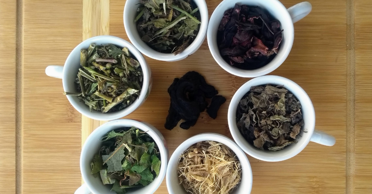 Chá de 7 ervas ajuda a emagrecer! Conheça suas propriedades