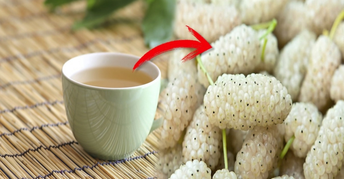 Para que serve e como fazer chá de amora branca