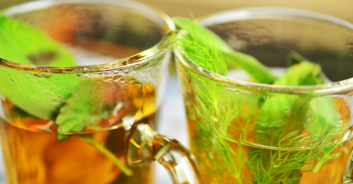 Chá de funcho: saiba como fazer e quais seus benefícios para saúde