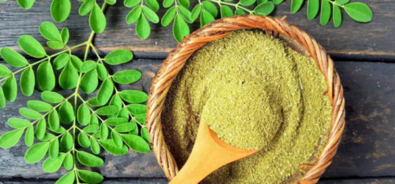 Para que serve e como fazer chá de moringa