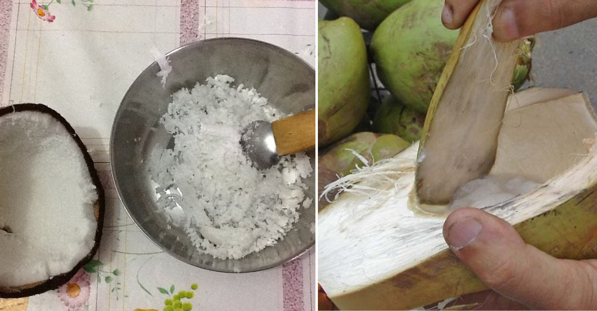 Benefícios do coco para a saúde