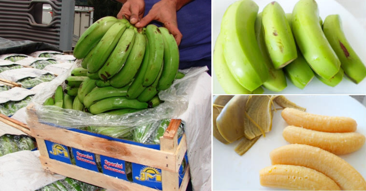 Banana verde: conheça seus benefícios para a saúde