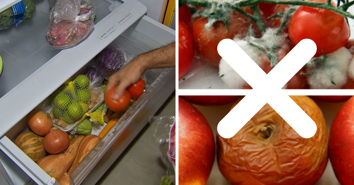 Como guardar alimentos frescos corretamente