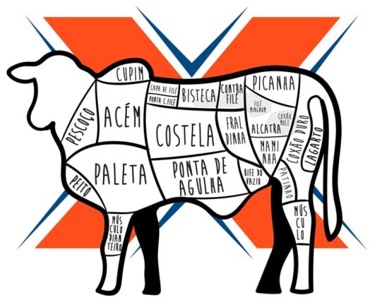 5 Melhores cortes de boi para churrasco e como fazer