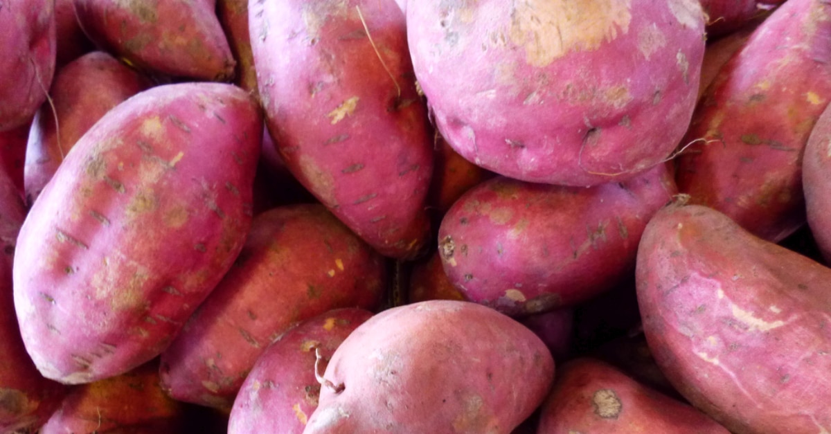 Doce de batata-doce: como fazer o tradicional e o moderno?