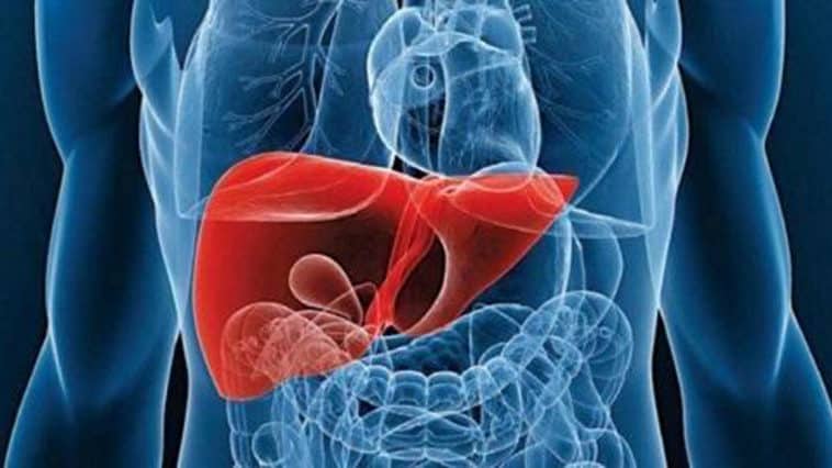 Aprenda a identificar e prevenir problemas no seu fígado