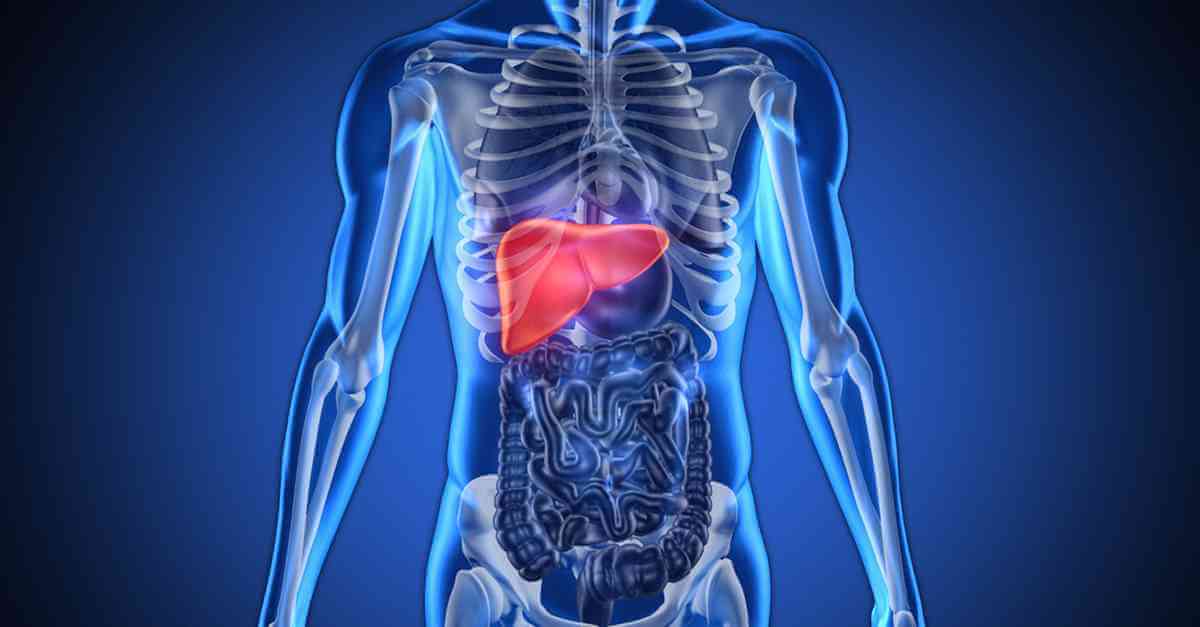 Aprenda a identificar e prevenir problemas no seu fígado