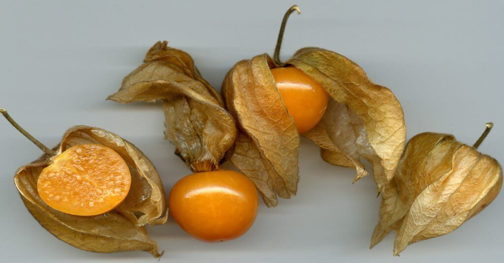 Conheça os benefícios da golden berry