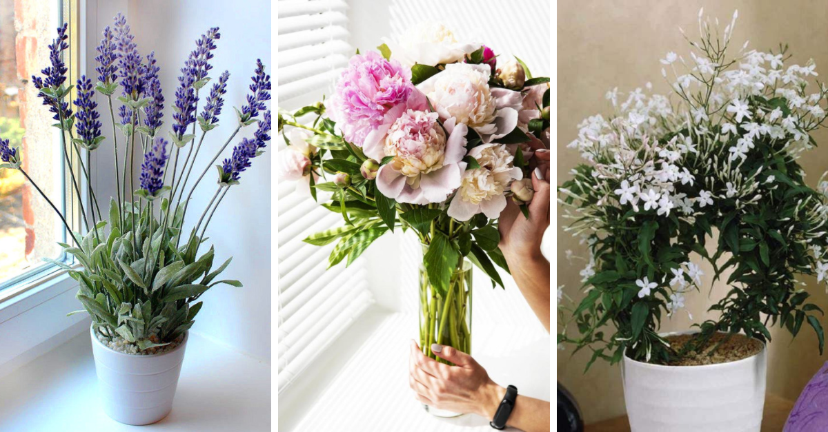 7 Plantas para deixar um cheirinho gostoso na sua casa