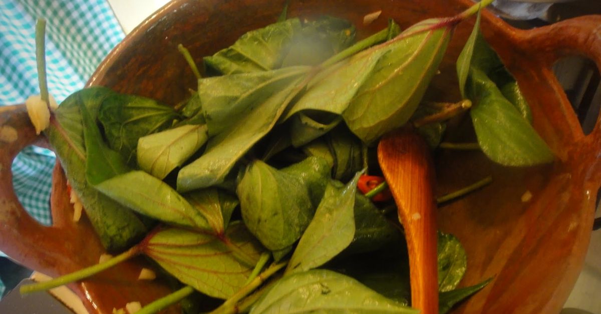 Você sabia que as folhas de batata-doce são comestíveis?