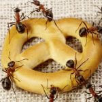 Alimentos certos para comer à noite