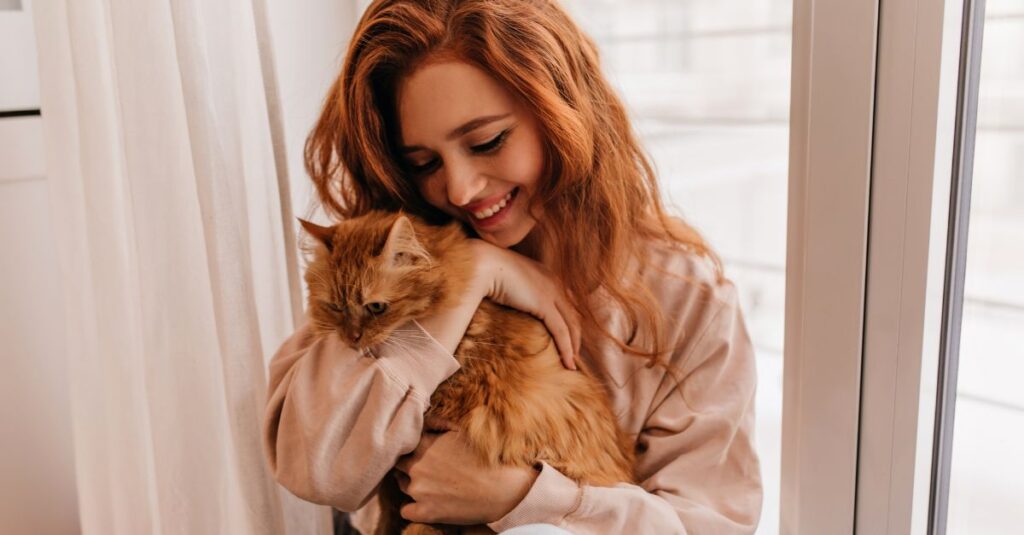 Estudo revela: gatos aliviam estresse de pessoas muito emocionais
