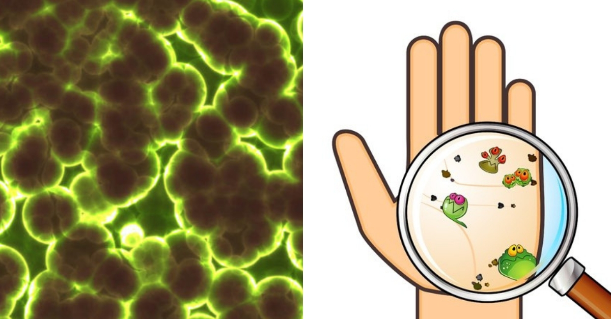 Os 7 locais públicos com mais germes