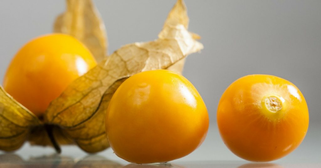 Benefícios da Golden Berry