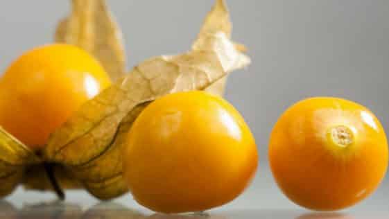 Conheça os benefícios da golden berry